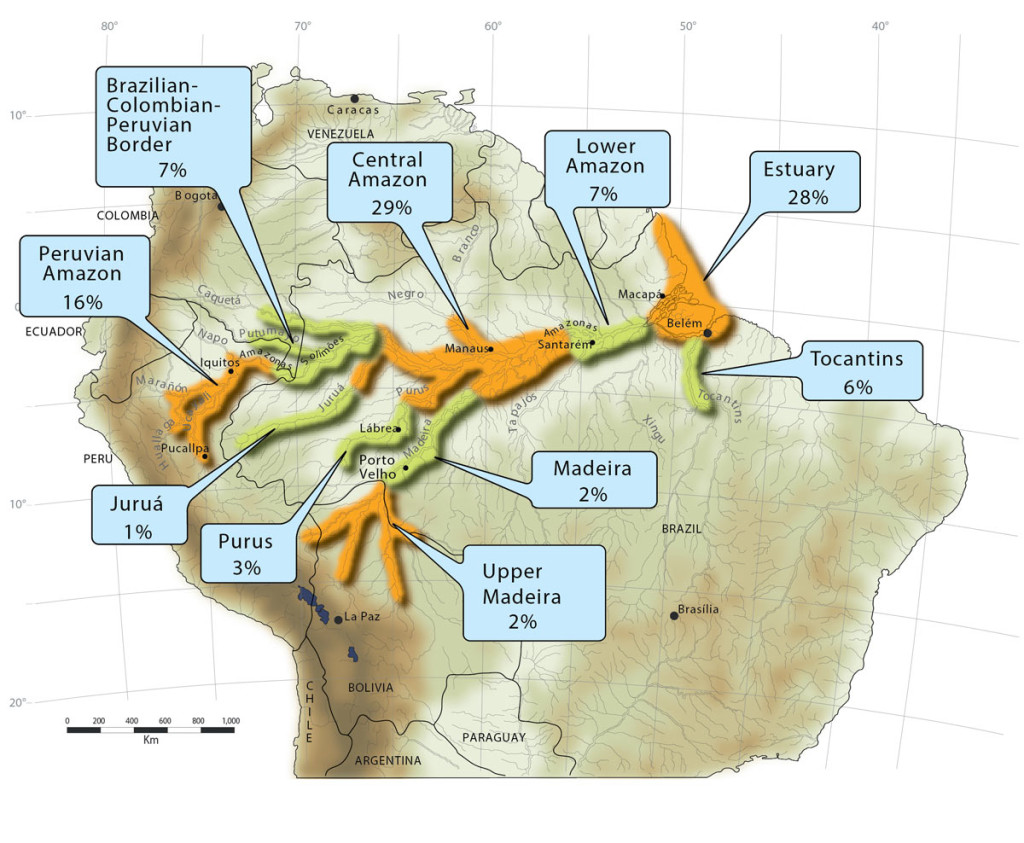 Regiones | Amazon Waters