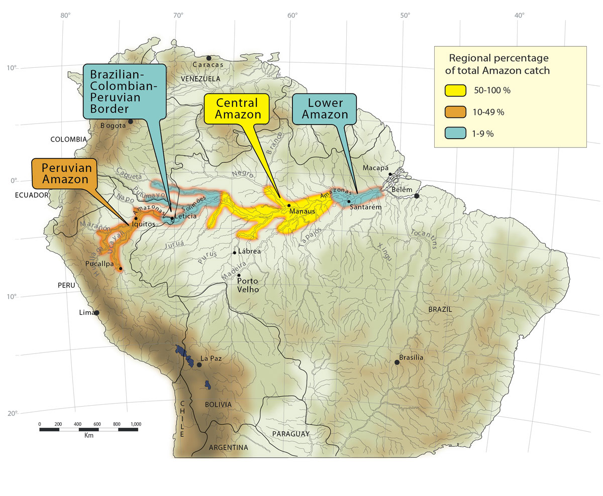 Arahuana | AGUAS AMAZÓNICAS
