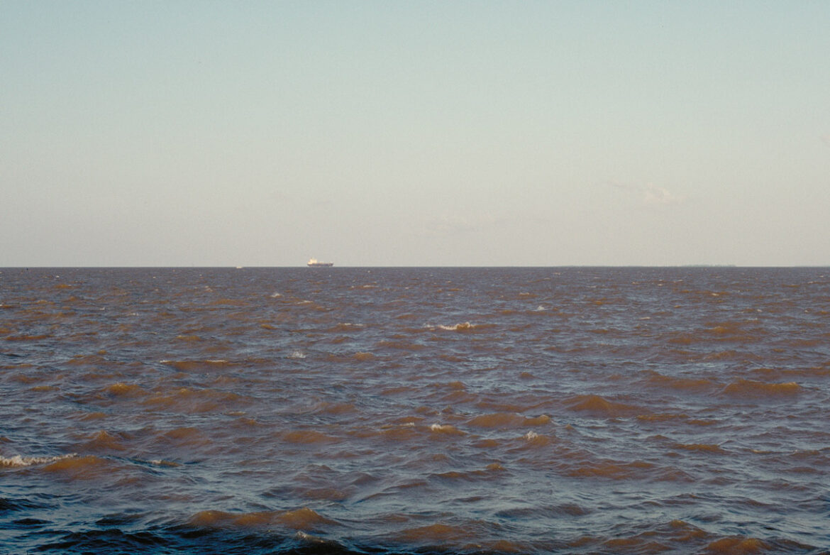MichaelGoulding_HiRes_010563 | Aguas Amazonicas