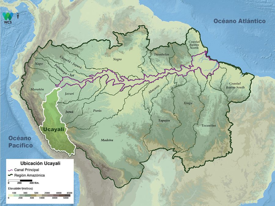 Ucayali | AGUAS AMAZÓNICAS